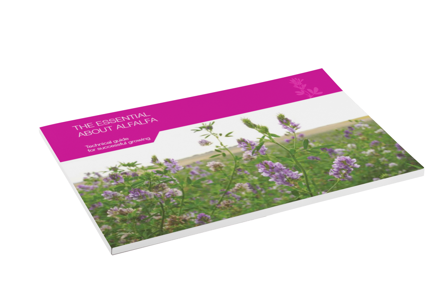 Harvesting your Alfalfa : Techniques for Optimal Yield and Quality ...