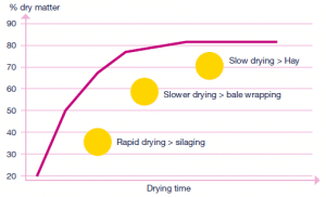Harvesting your Alfalfa : Techniques for Optimal Yield and Quality ...