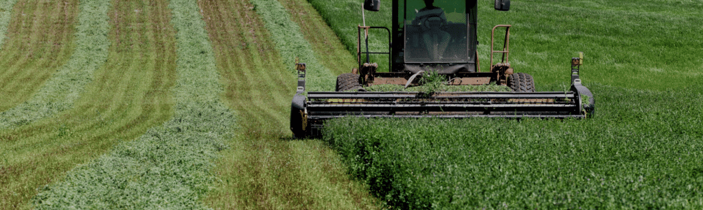 Harvesting your Lucerne: Techniques for Optimal Yield and Quality - MAS ...