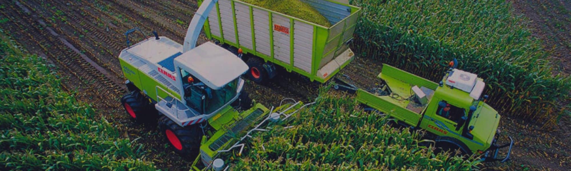 Harvesting your Silage Maize: Optimising Timing for Superior Quality ...